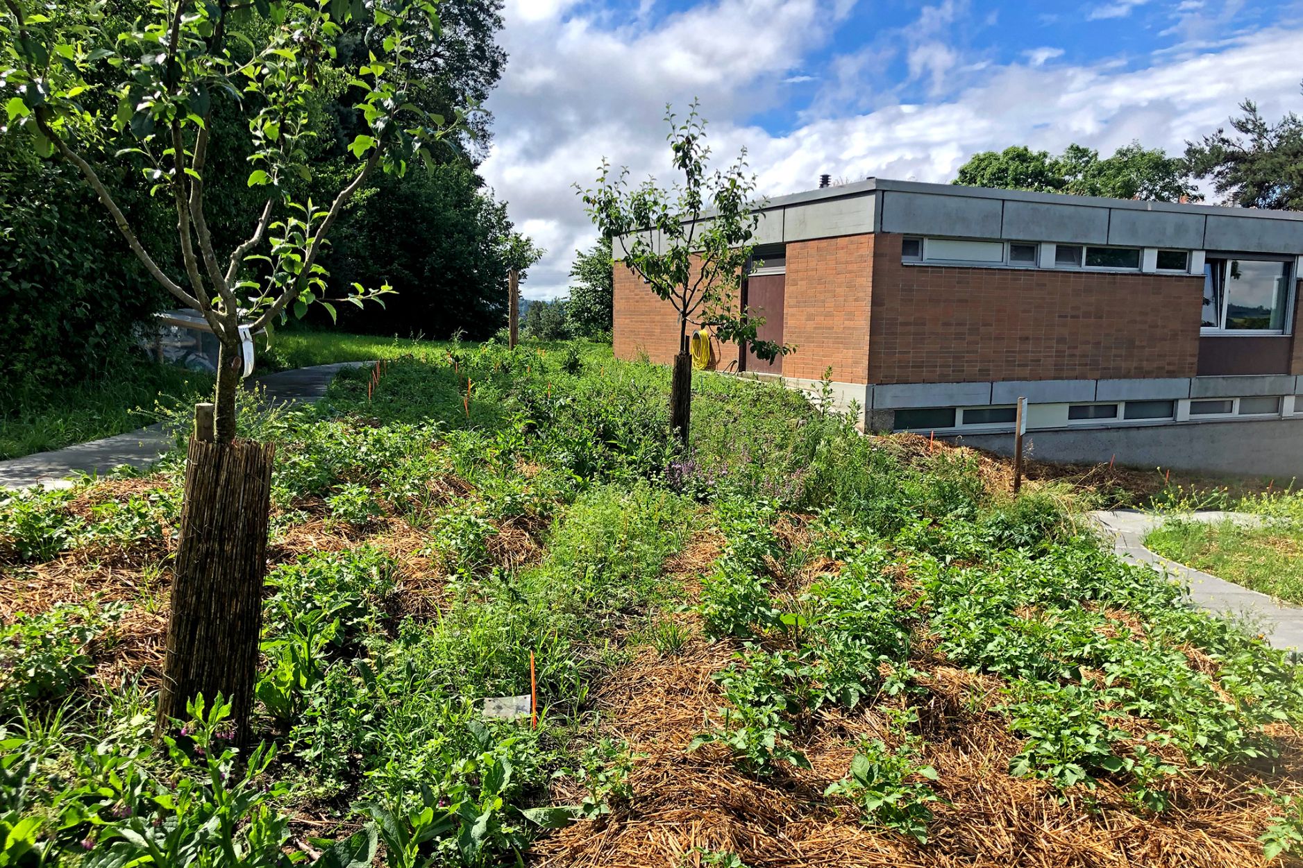 Permaculture gardens at the BFH-HAFL Department (Campus Zollikofen ...